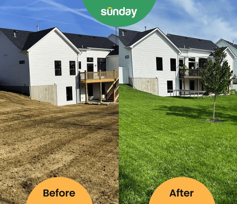 sunday-lawn-care
