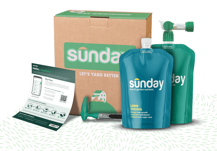 Lawn Care | Sunday Lawn Care