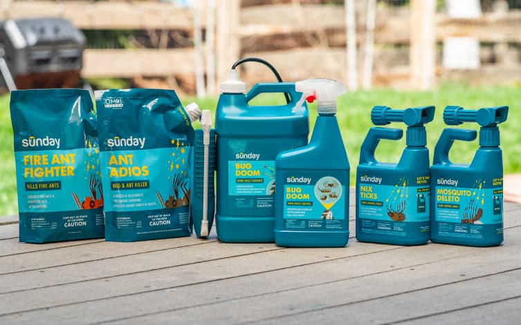 Sunday Lawn Care