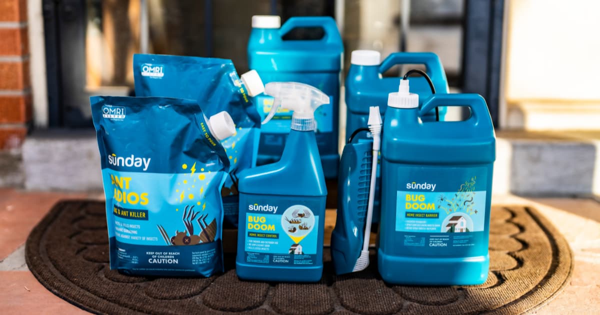 Preventive Pest Control | Sunday Lawn Care