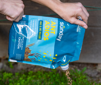 Preventive Pest Control | Sunday Lawn Care