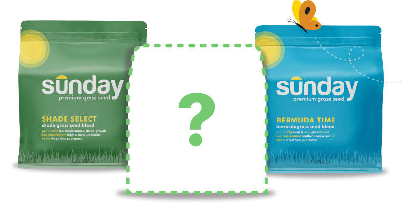 Seed Finder | Sunday Lawn Care